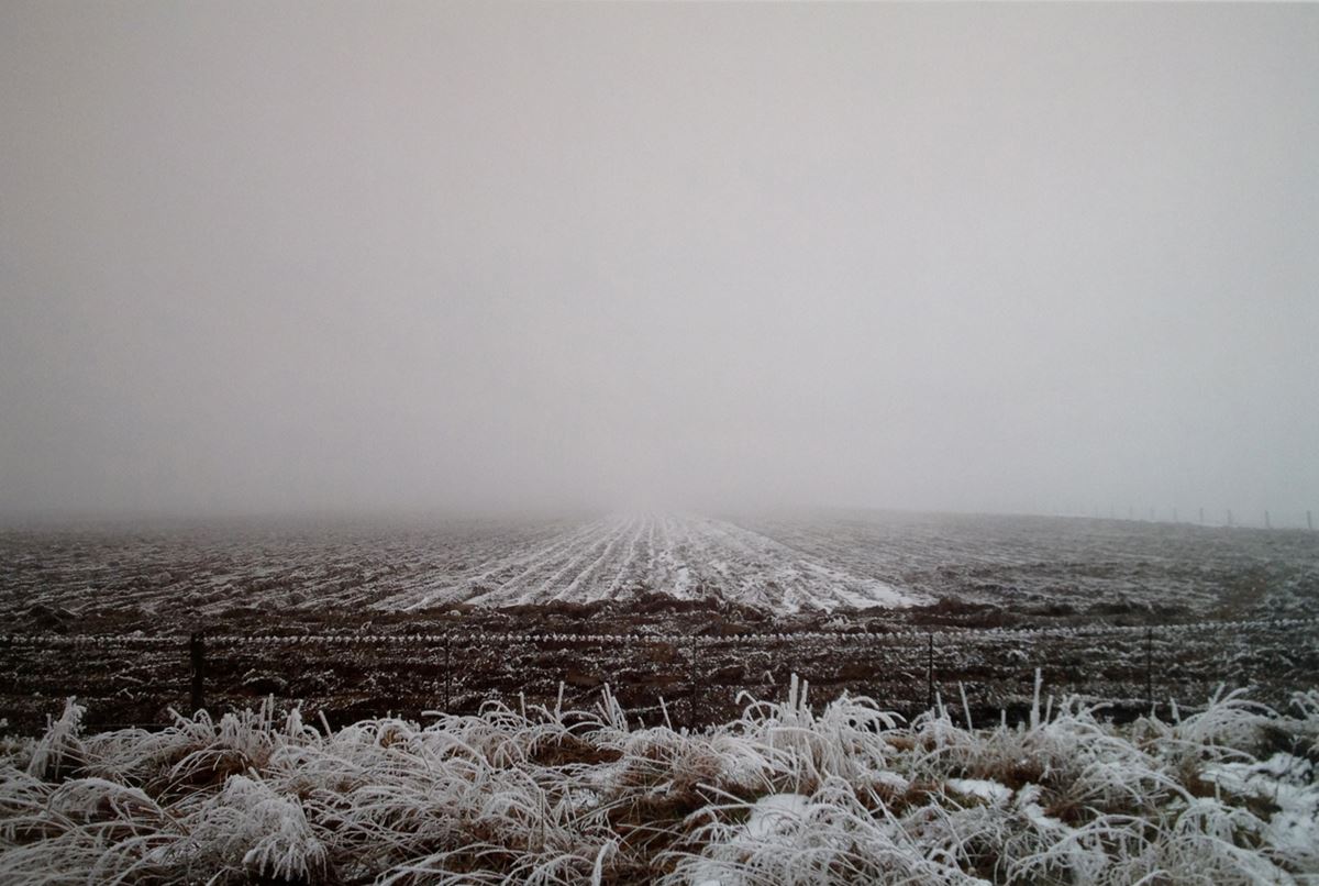 Grahame Sydney Biography, Artworks & Exhibitions | Ocula Artist