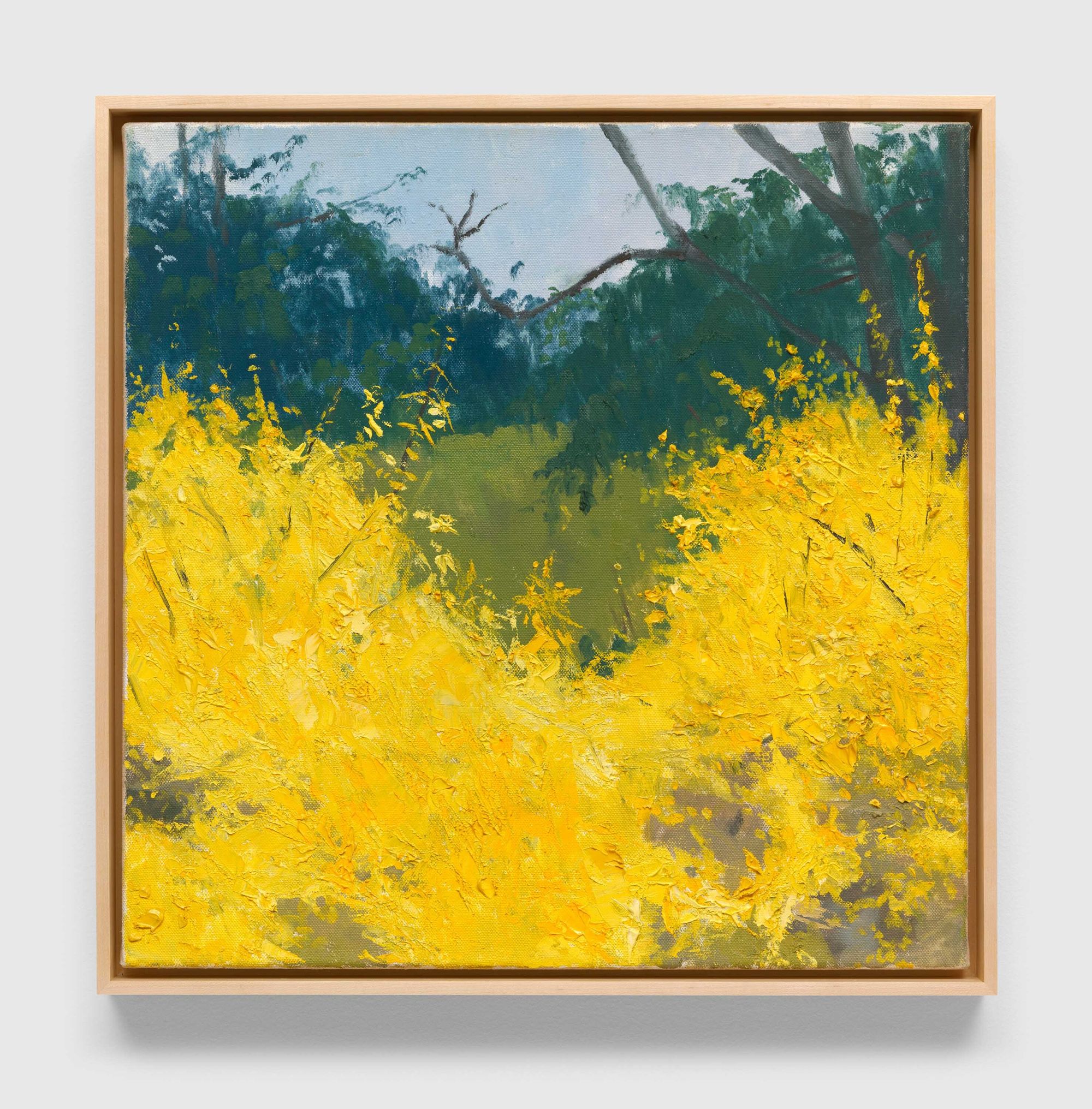 Merrill Wagner Biography, Artworks & Exhibitions | Ocula Artist