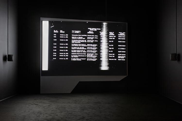 Carolyn Lazard Biography, Artworks & Exhibitions | Ocula Artist