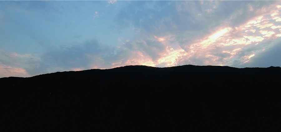 Zhou Bin's Art For Sale, Exhibitions & Biography | Ocula Artist