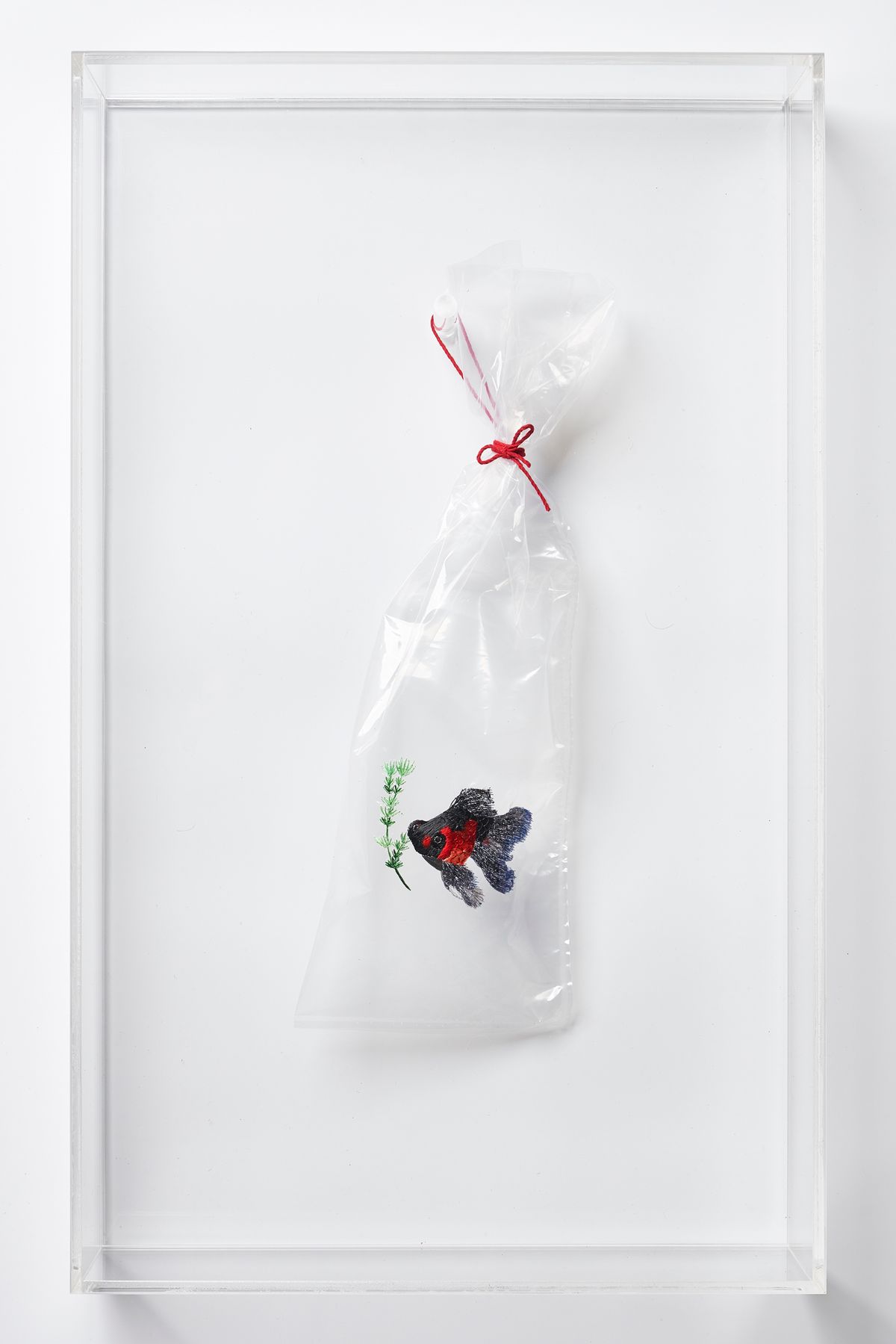 Angel HUI Hoi Kiu Biography, Artworks & Exhibitions | Ocula Artist