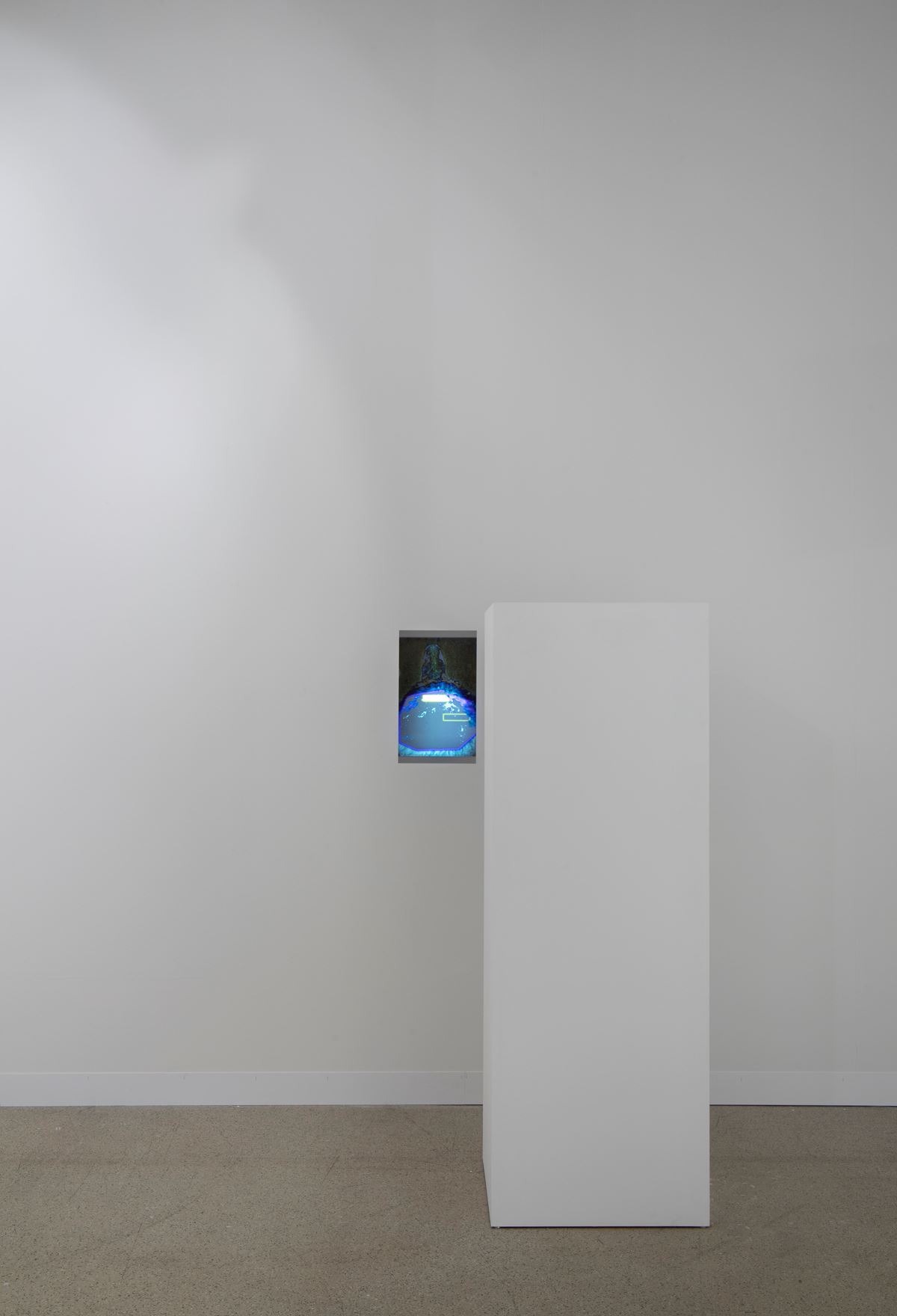 Trisha Donnelly Biography, Artworks & Exhibitions | Ocula Artist