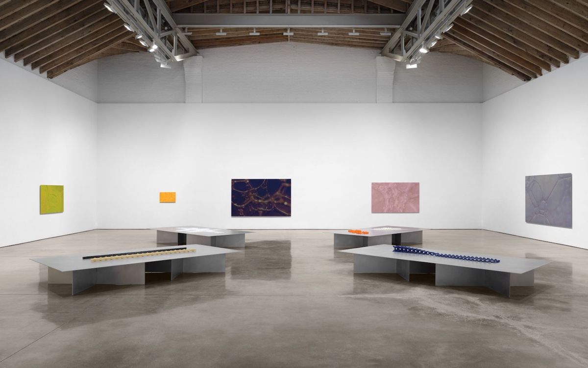 Paula Cooper Gallery | Ocula