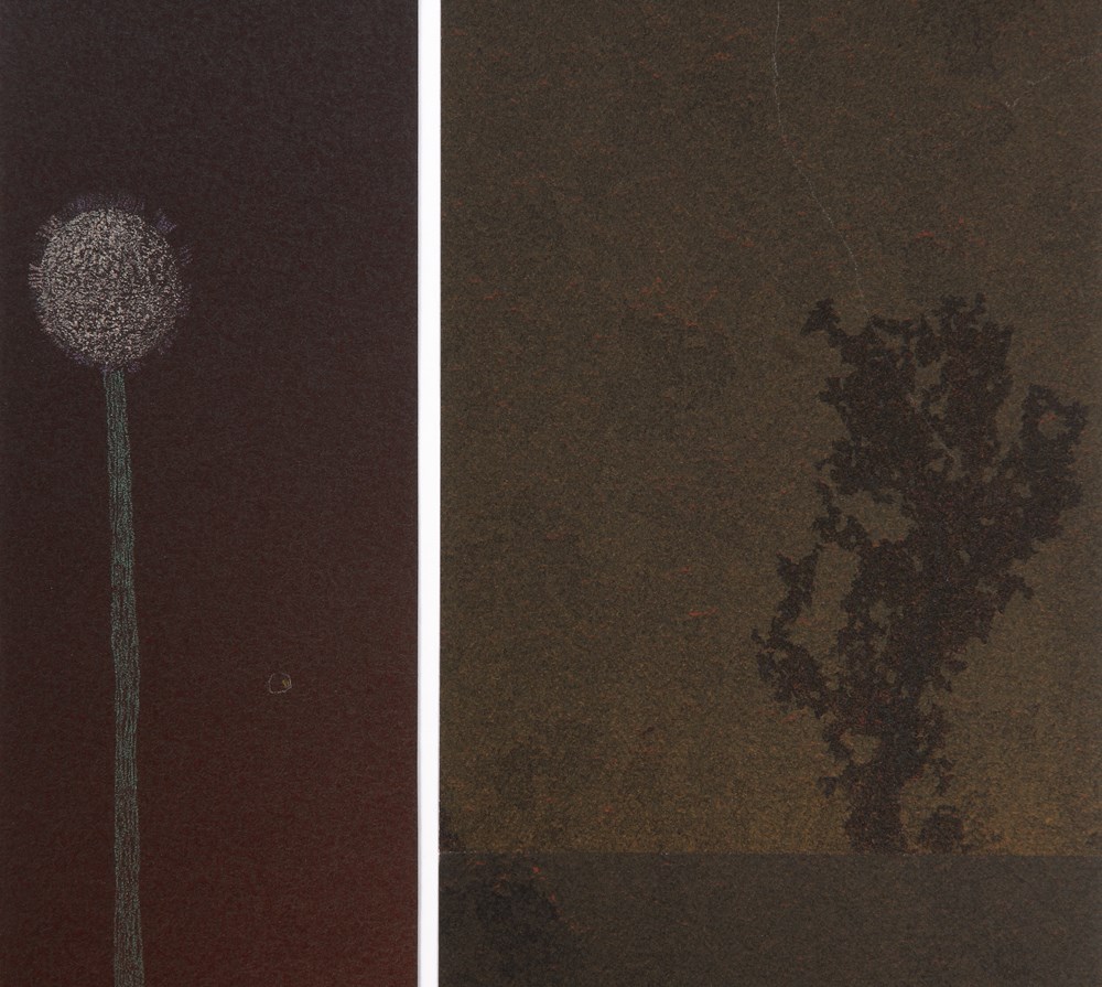 Sara Maher Biography, Artworks & Exhibitions | Ocula Artist