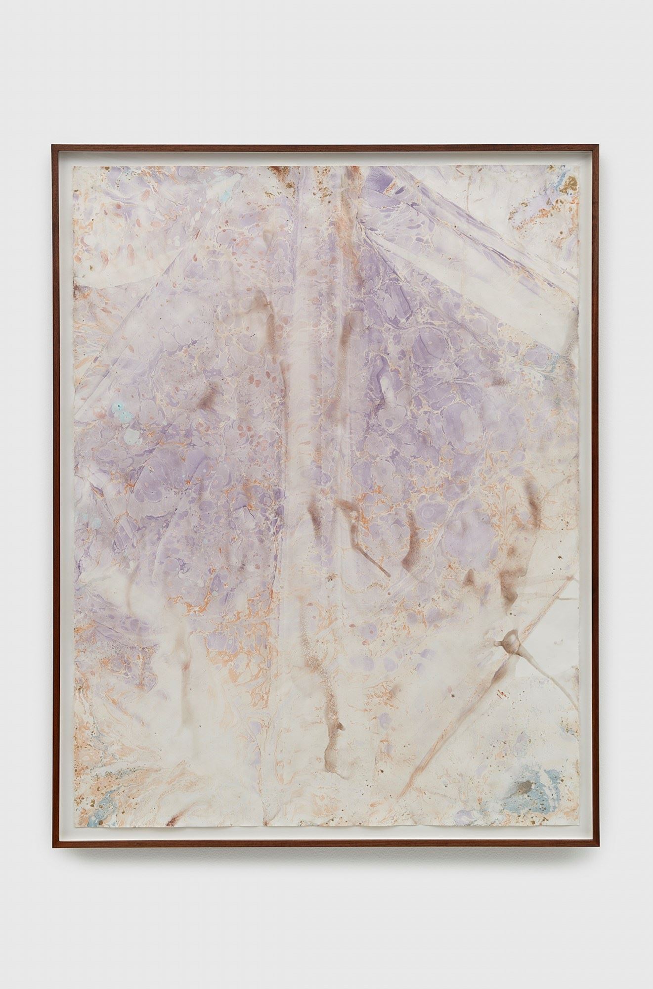 Anya Gallaccio | Artist Profile, Exhibitions & Artworks | Ocula