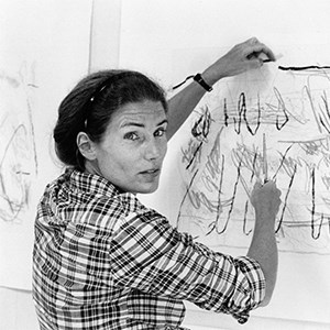 Nancy Graves' Art For Sale, Exhibitions & Biography | Ocula Artist