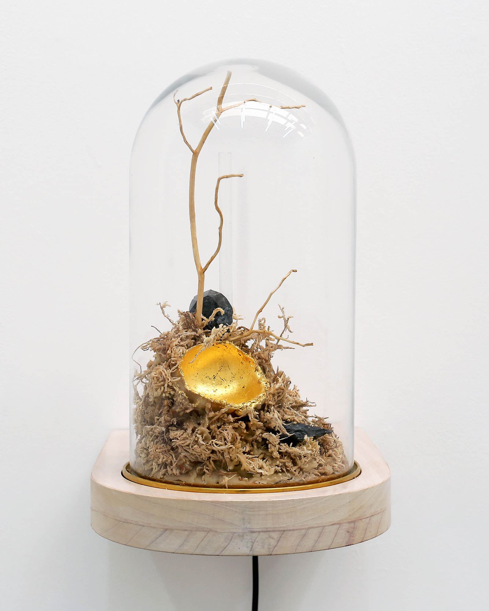 Andrew Drummond Biography, Artworks & Exhibitions | Ocula Artist