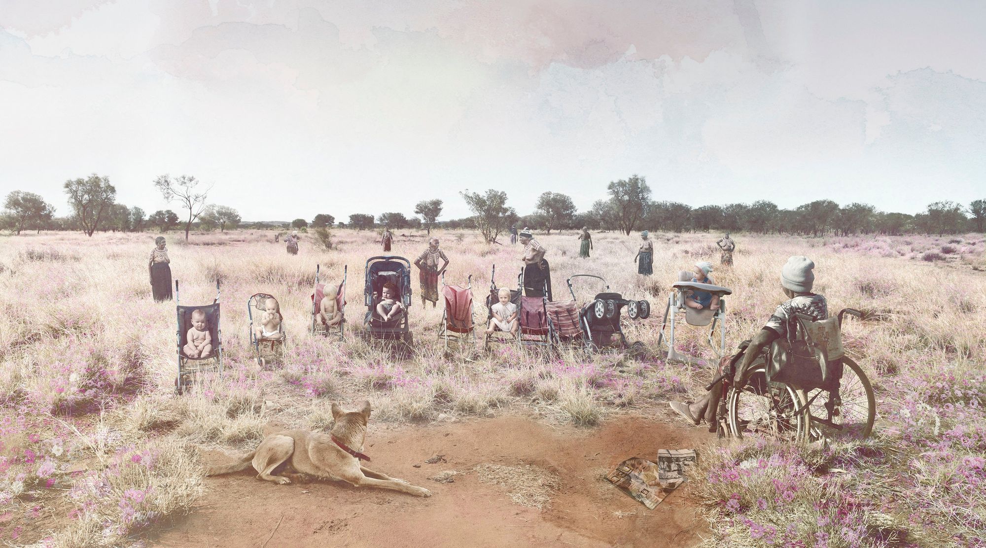 Michael Cook Biography, Artworks & Exhibitions | Ocula Artist