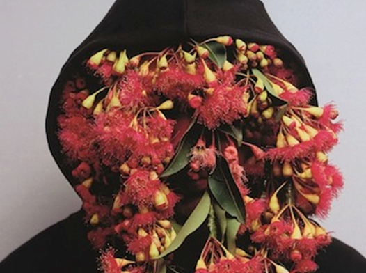 Michael Cook | Artist Profile, Exhibitions & Artworks | Ocula