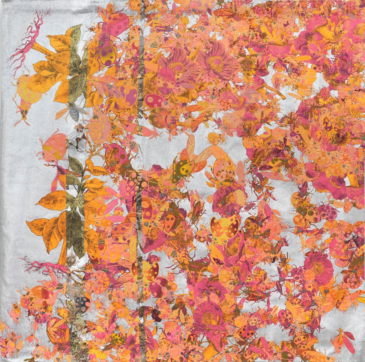 Pae White's Art For Sale, Exhibitions & Biography | Ocula Artist