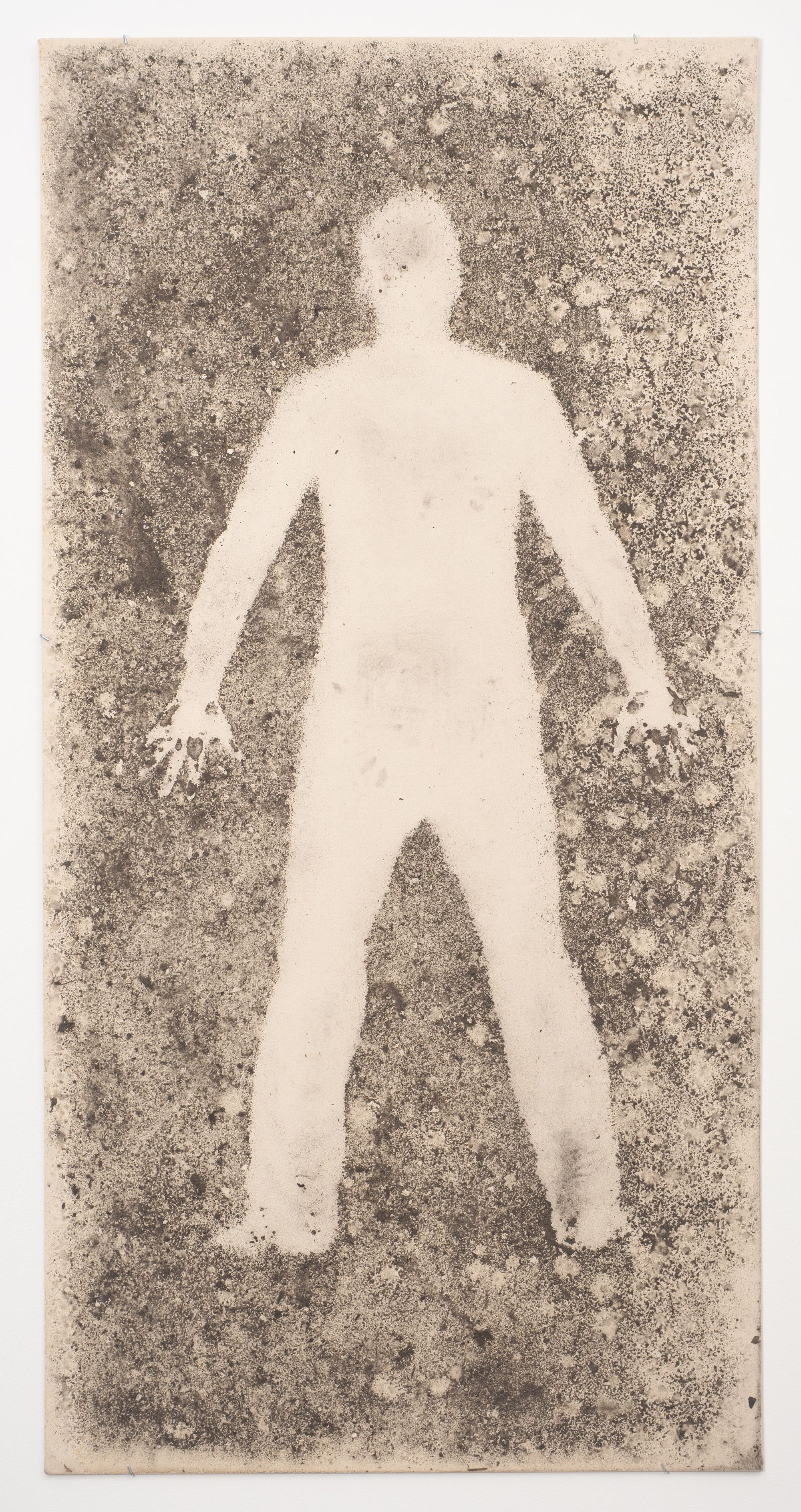 Andy Goldsworthy Biography, Artworks & Exhibitions | Ocula Artist