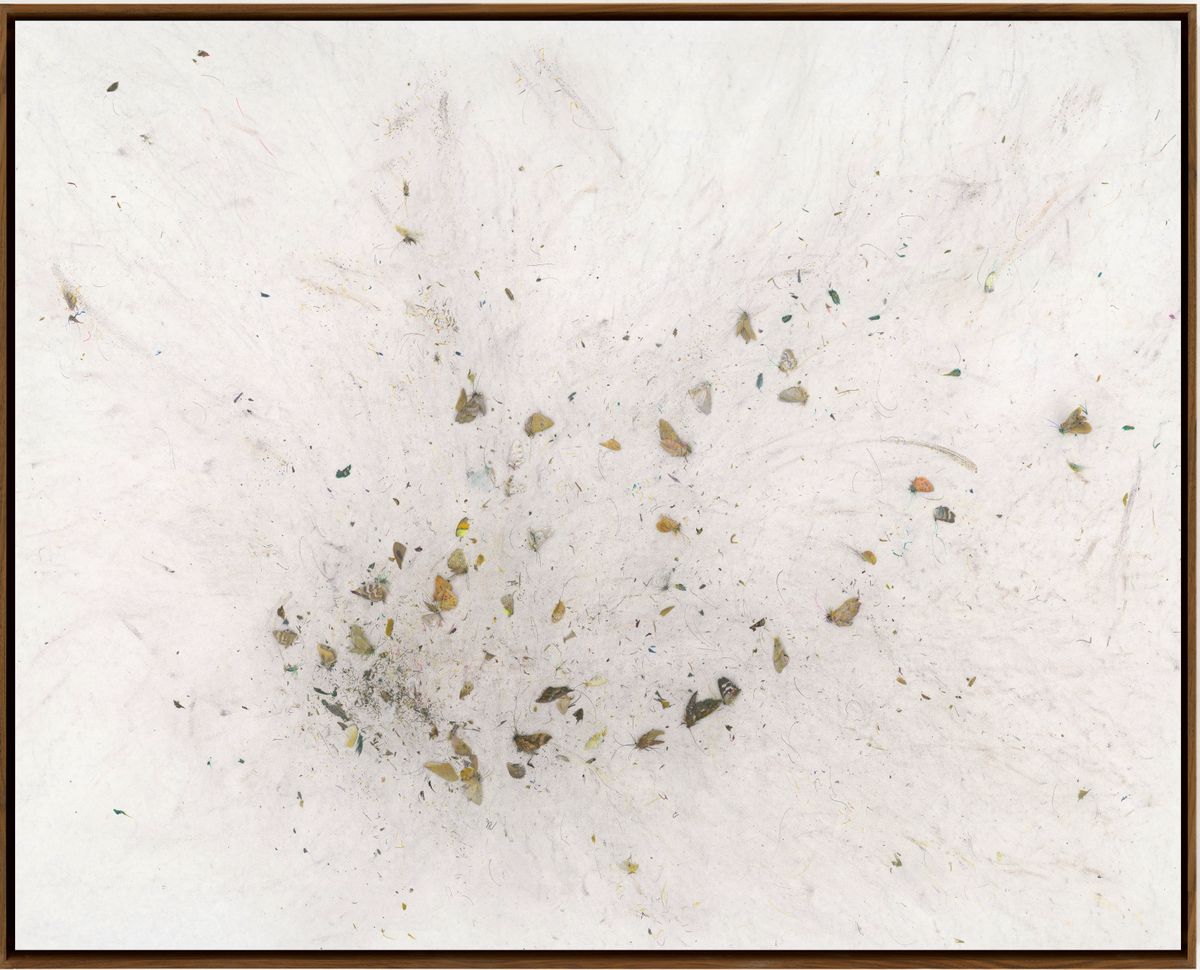 Shen Liang's Art For Sale, Exhibitions & Biography | Ocula Artist
