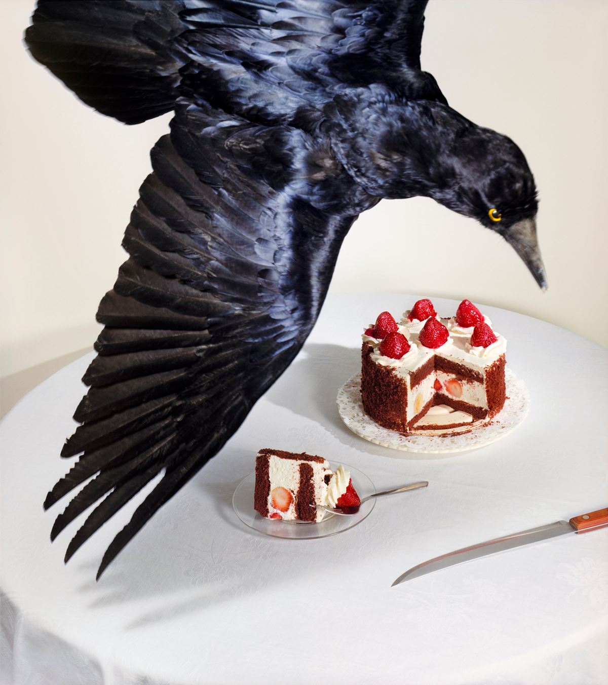 Jo Ann Callis Biography, Artworks & Exhibitions | Ocula Artist