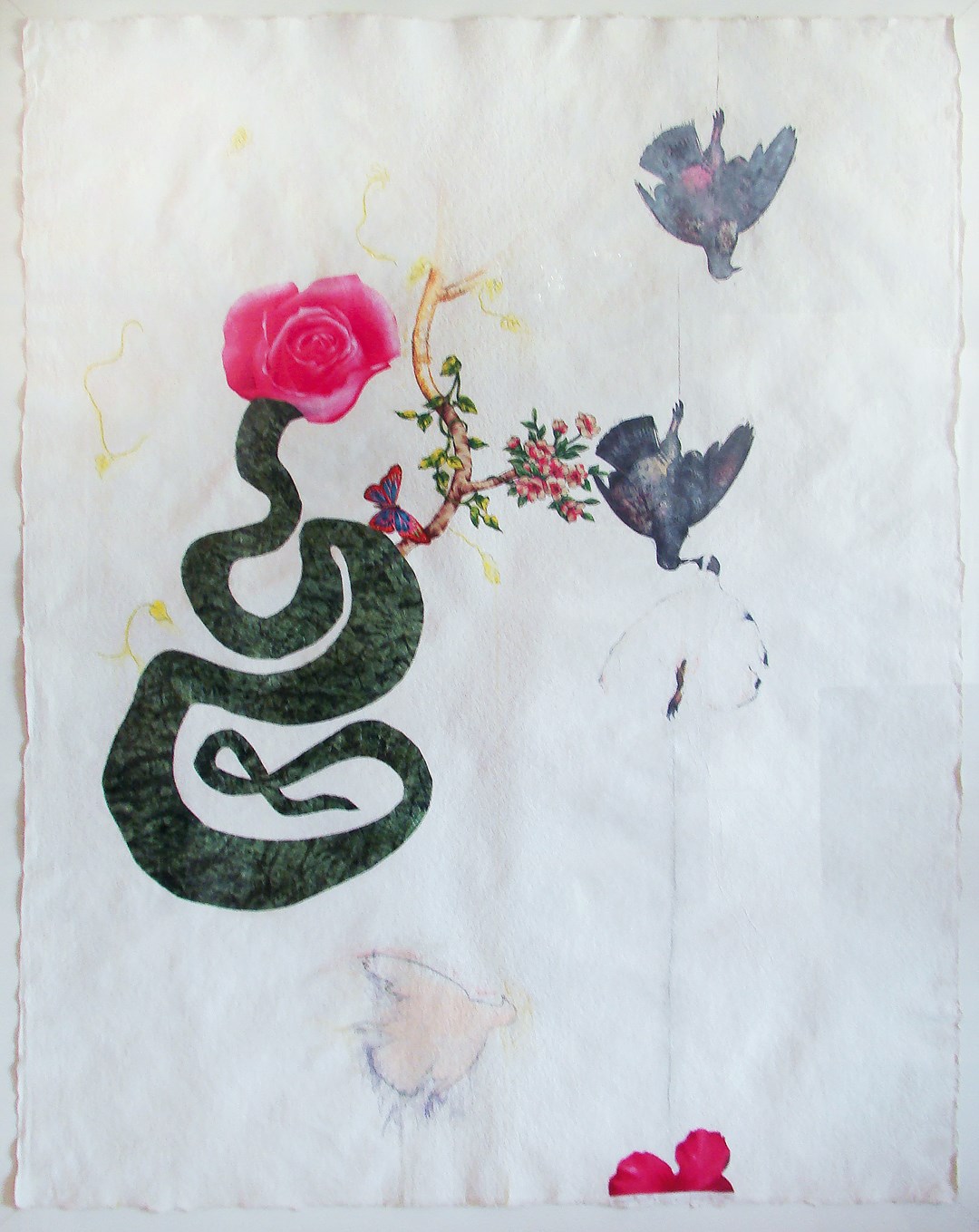 Mithu Sen Biography, Artworks & Exhibitions | Ocula Artist