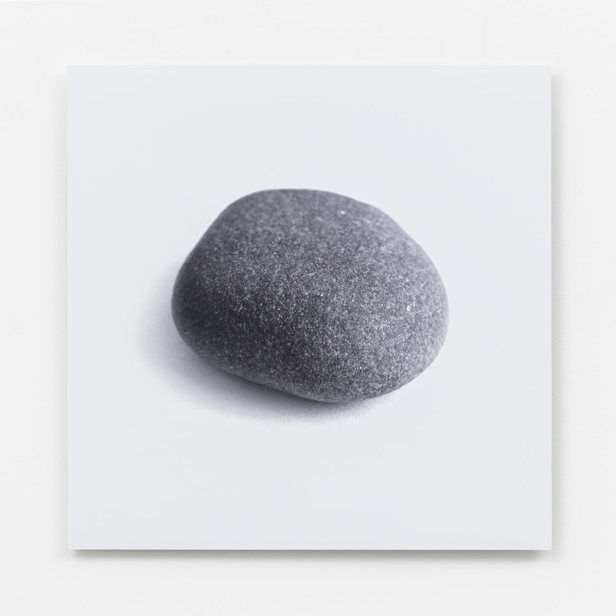 Ceal Floyer's Art For Sale, Exhibitions & Biography | Ocula Artist