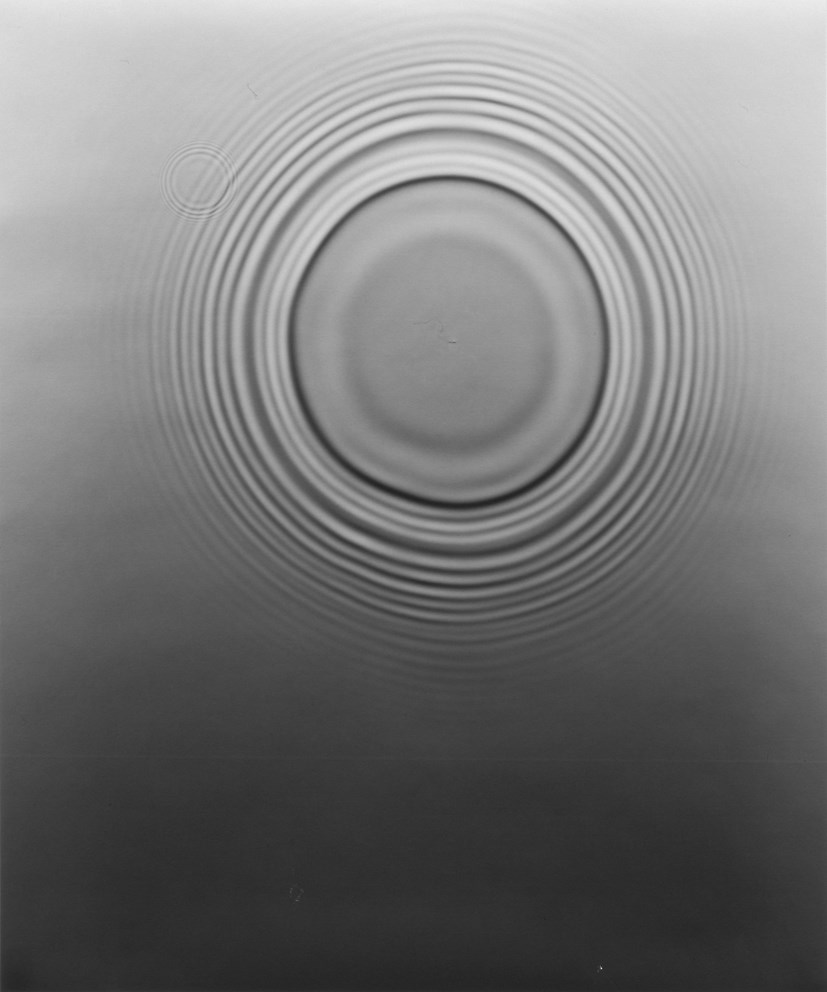 Ark, 2005 by Adam Fuss | Ocula