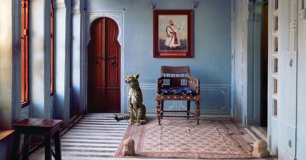 The Feminist Aesthetics of 'A Room of Her Own' | Ocula