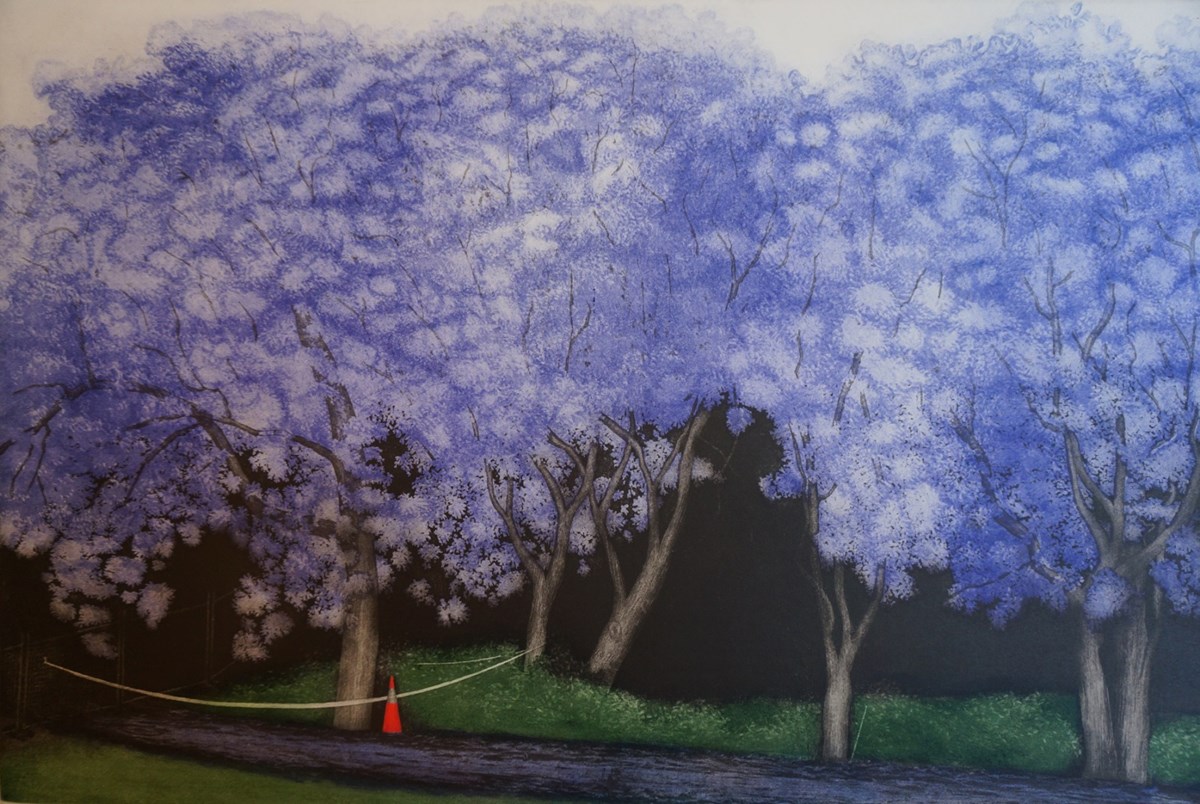 Bruce Latimer Biography, Artworks & Exhibitions | Ocula Artist