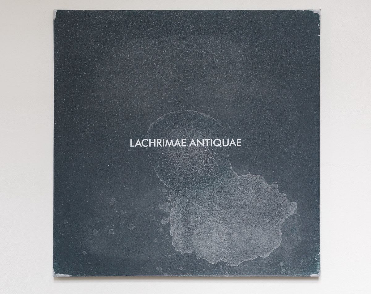 Susan Philipsz's Art For Sale, Exhibitions & Biography | Ocula Artist