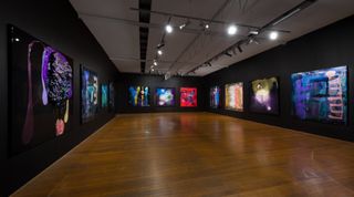 Dale Frank Biography, Artworks & Exhibitions | Ocula Artist