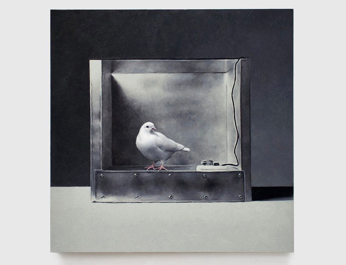 The Operant Conditioning Chamber #2, 2022 by Mat Collishaw | Ocula