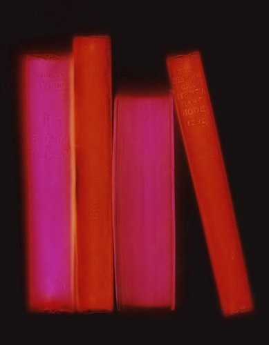 Penelope Davis' Art For Sale, Exhibitions & Biography | Ocula Artist