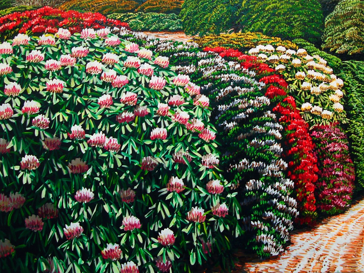 Karl Maughan Biography, Artworks & Exhibitions | Ocula Artist