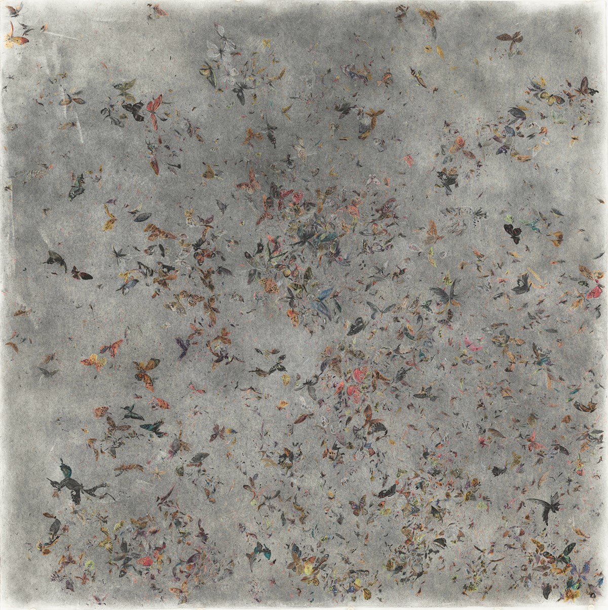 Shen Liang Biography, Artworks & Exhibitions | Ocula Artist