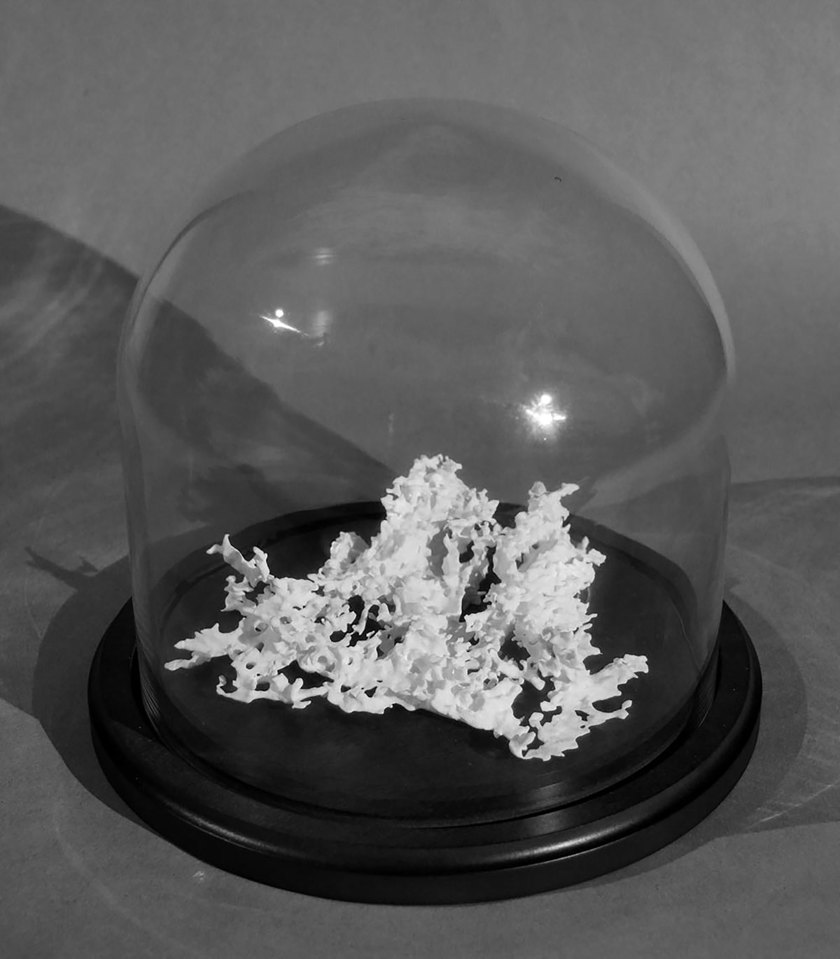 Simon Finn Biography, Artworks & Exhibitions | Ocula Artist