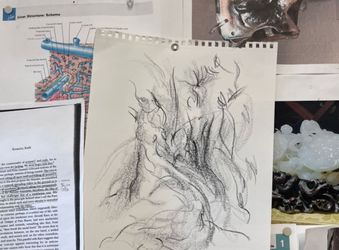 Jes Fan's Art For Sale, Exhibitions & Biography | Ocula Artist