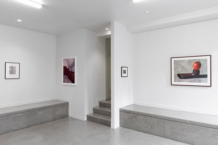 Peter Peryer, 'Colour' at Hamish McKay, Wellington, New Zealand on 13 ...