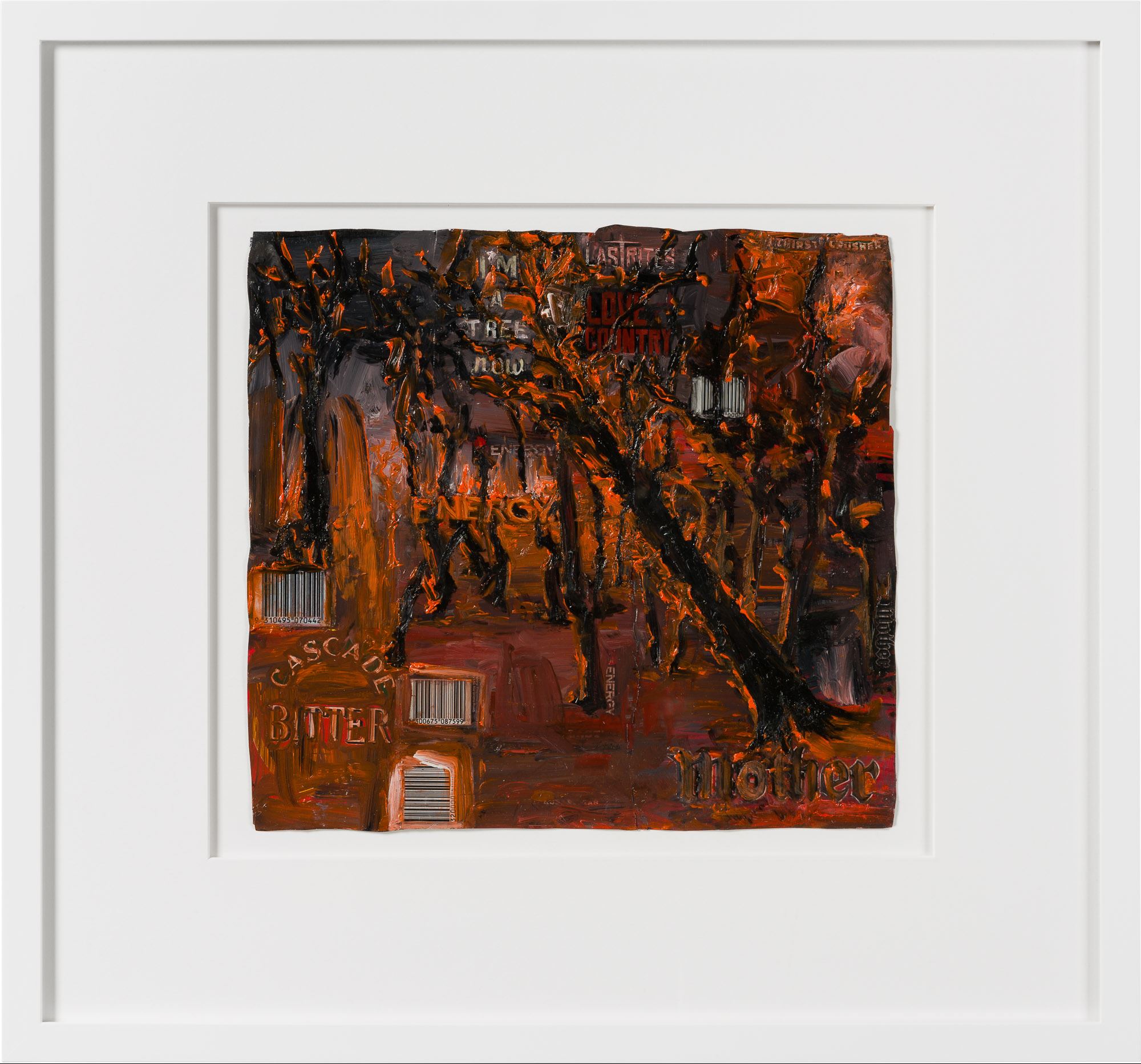 Fiona Hall Biography, Artworks & Exhibitions | Ocula Artist