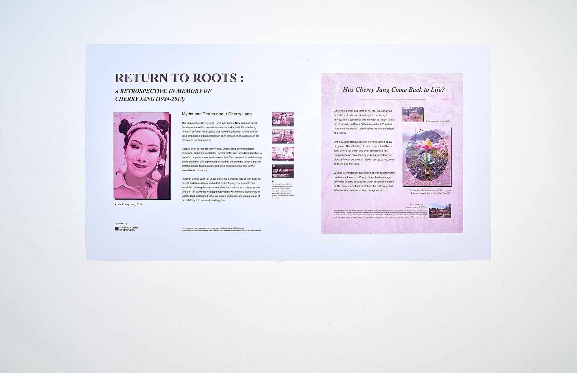 Sungsil Ryu, 'Return to Roots: A Retrospective in Memory of Cherry Jang ...