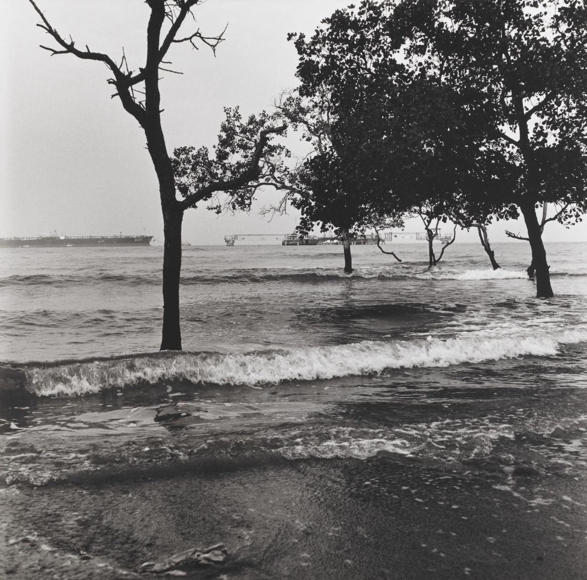 Simryn Gill Biography, Artworks & Exhibitions | Ocula Artist