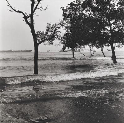 Simryn Gill Biography, Artworks & Exhibitions | Ocula Artist