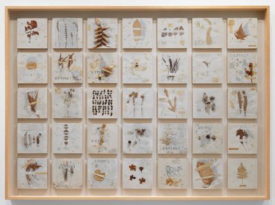 Michelle Stuart Artworks | Ocula Artist