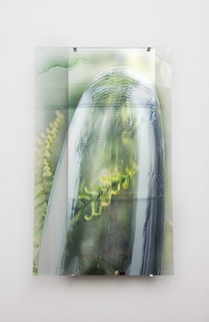 Janet Laurence | Artist Profile, Exhibitions & Artworks | Ocula