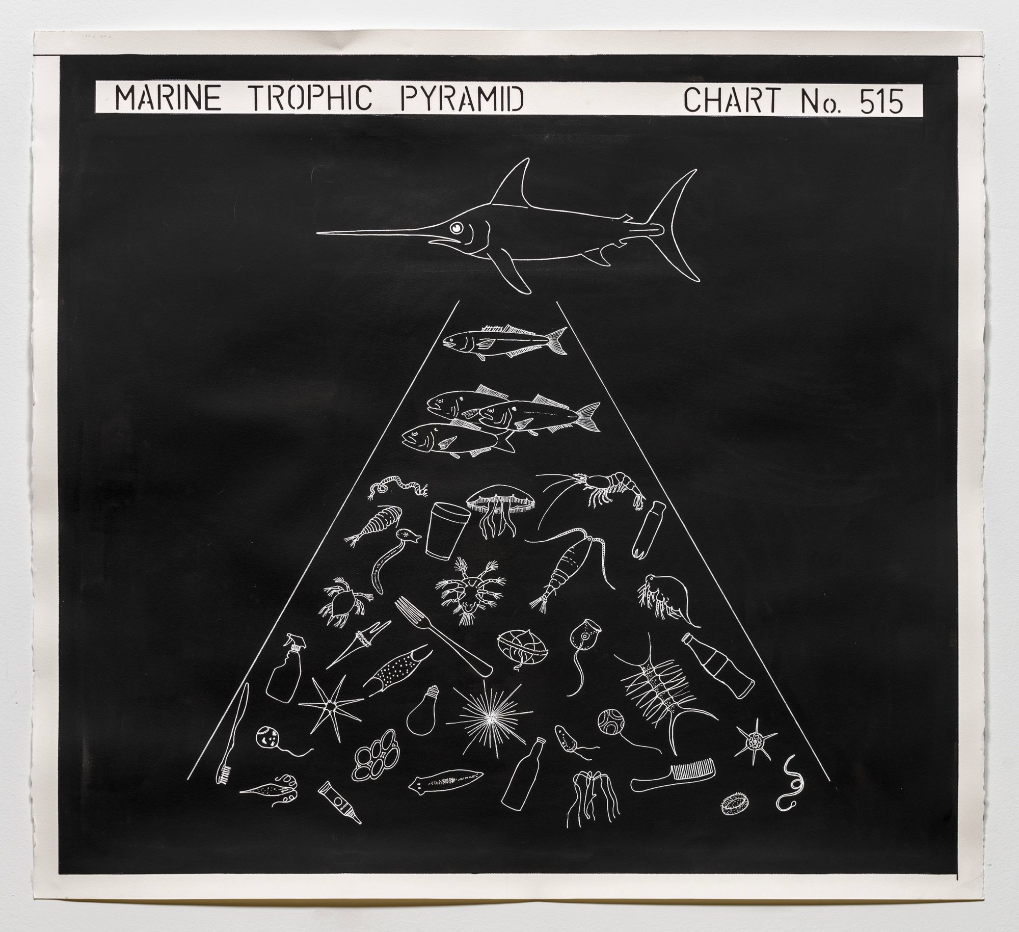 Mark Dion Artworks | Ocula Artist