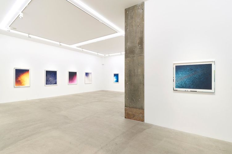 13 Best Tokyo Art Galleries
