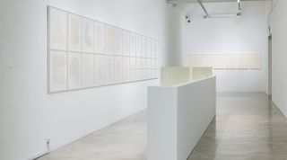 Pae White Biography, Artworks & Exhibitions | Ocula Artist