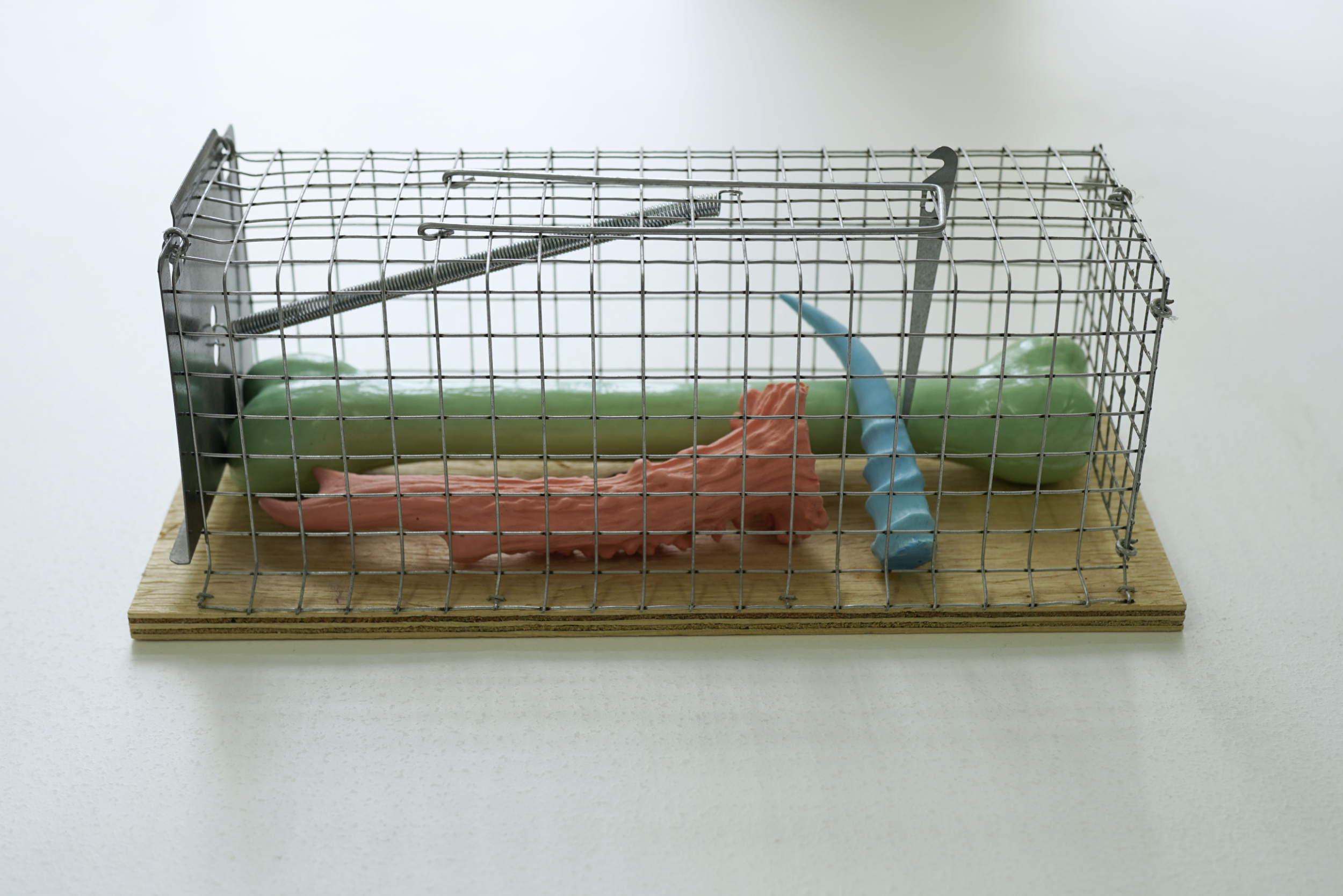 Bone Trap, 2022 by Marten Schech | Ocula