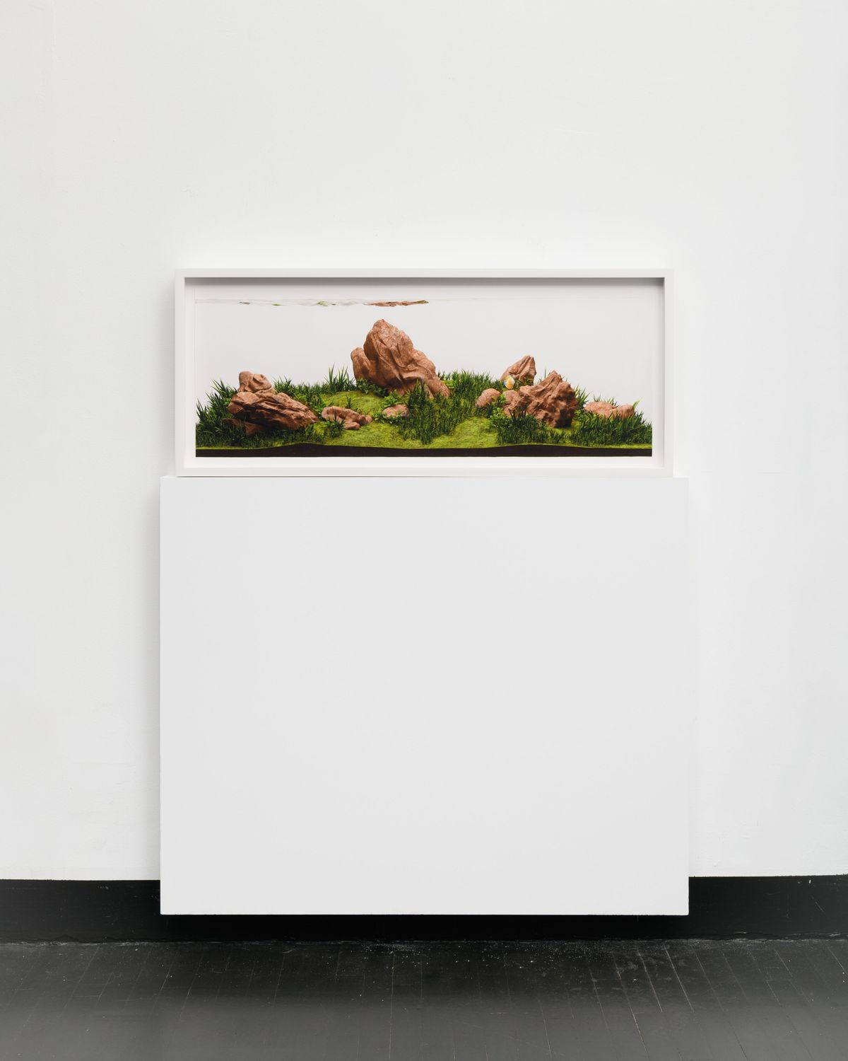 Erin Wright Exhibitions at leading galleries | Ocula