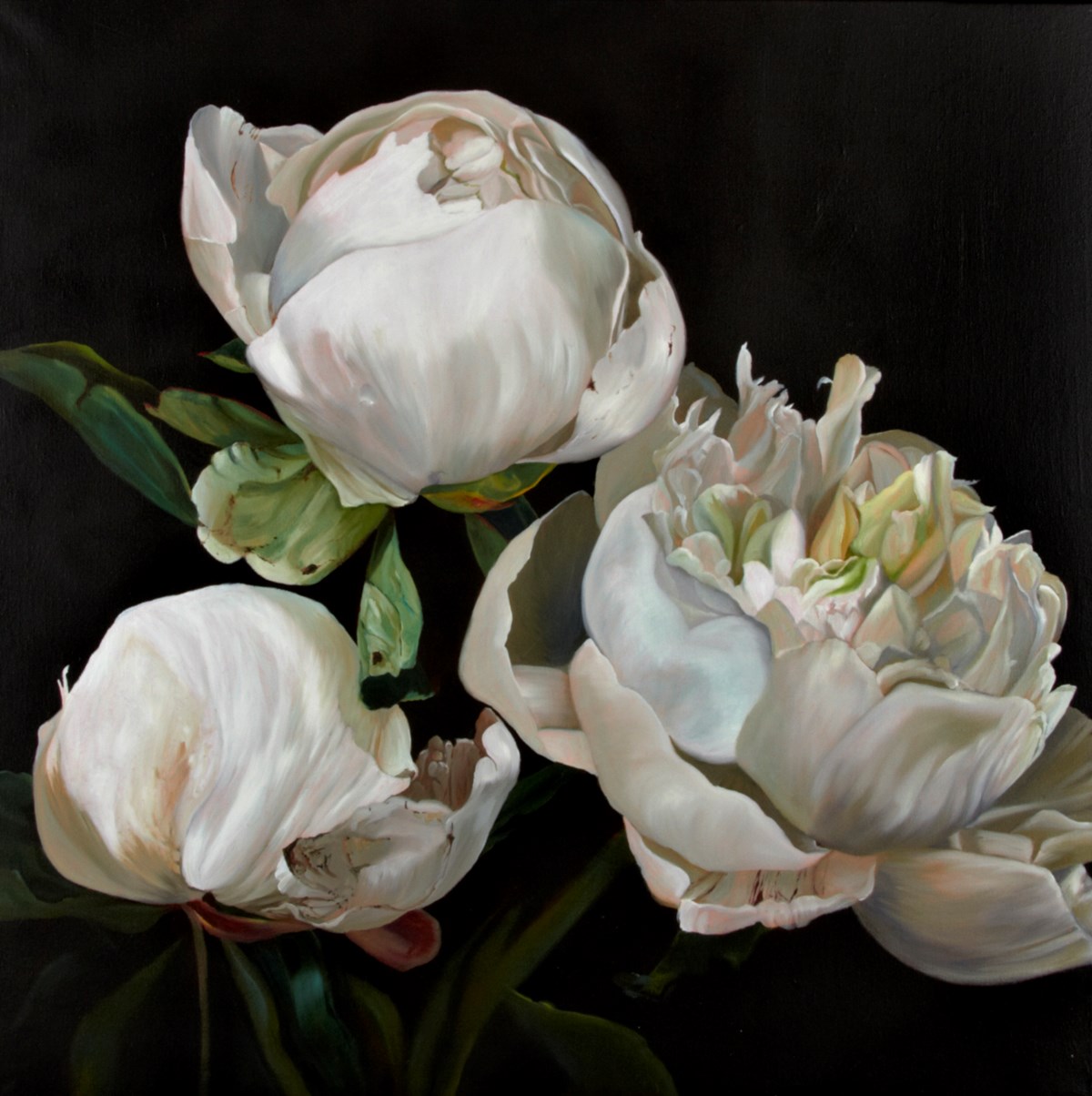 Pamela Wolfe Biography, Artworks & Exhibitions | Ocula Artist