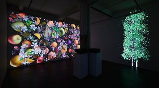 Jennifer Steinkamp Biography, Artworks & Exhibitions | Ocula Artist