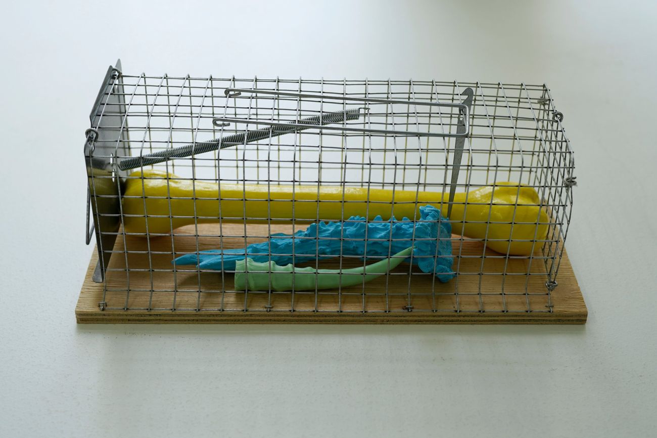 Bone Trap, 2022 by Marten Schech, Polyester resin, wood, metal, 11 x 30 ...