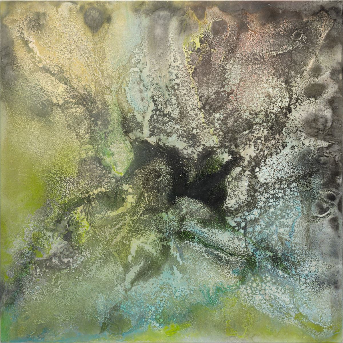 Tommy Chen Biography, Artworks & Exhibitions | Ocula Artist