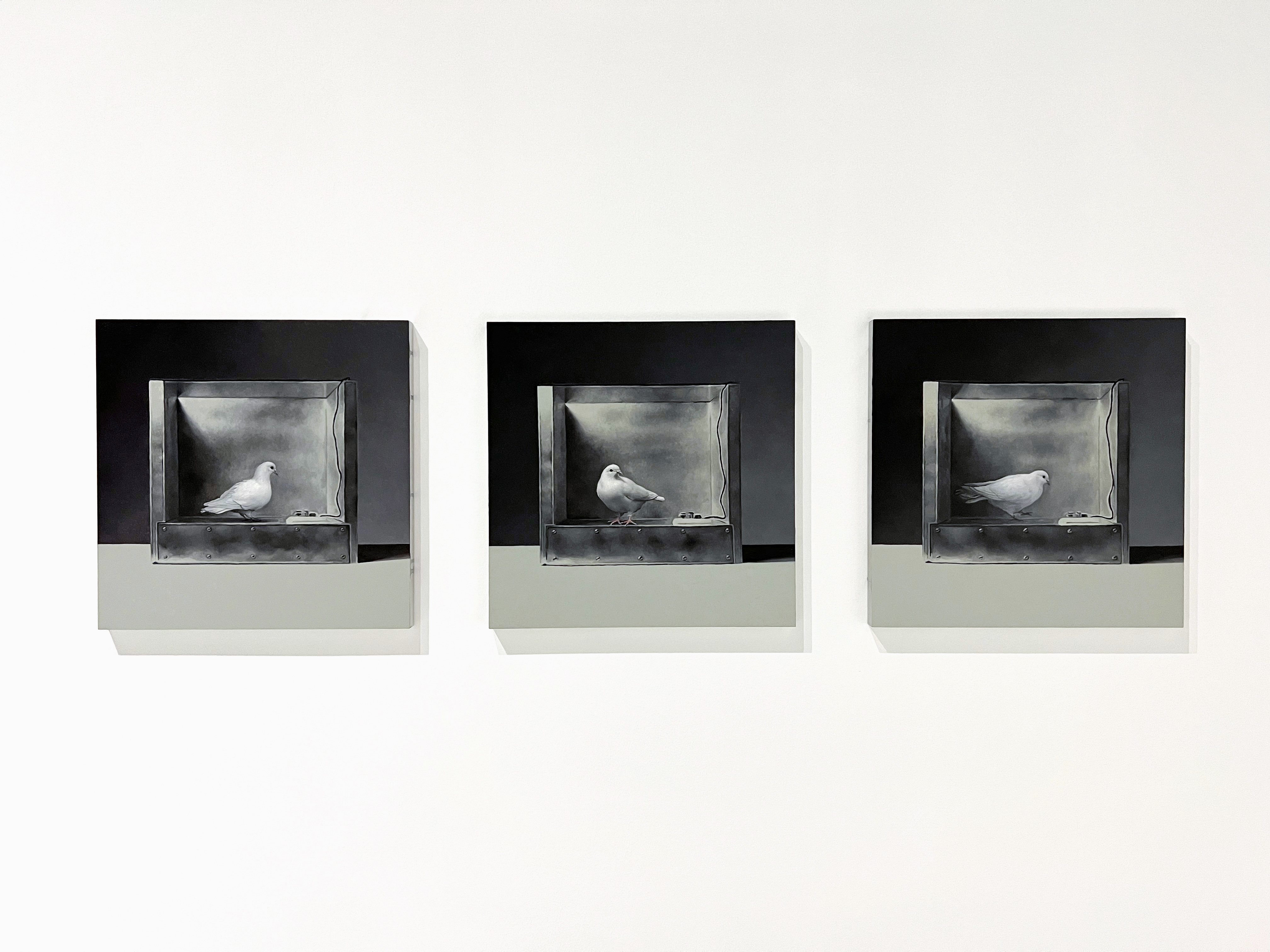 The Operant Conditioning Chamber #2, 2022 by Mat Collishaw | Ocula