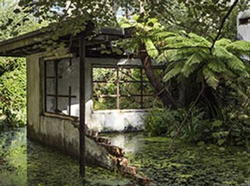 Alex Hartley Biography, Artworks & Exhibitions | Ocula Artist