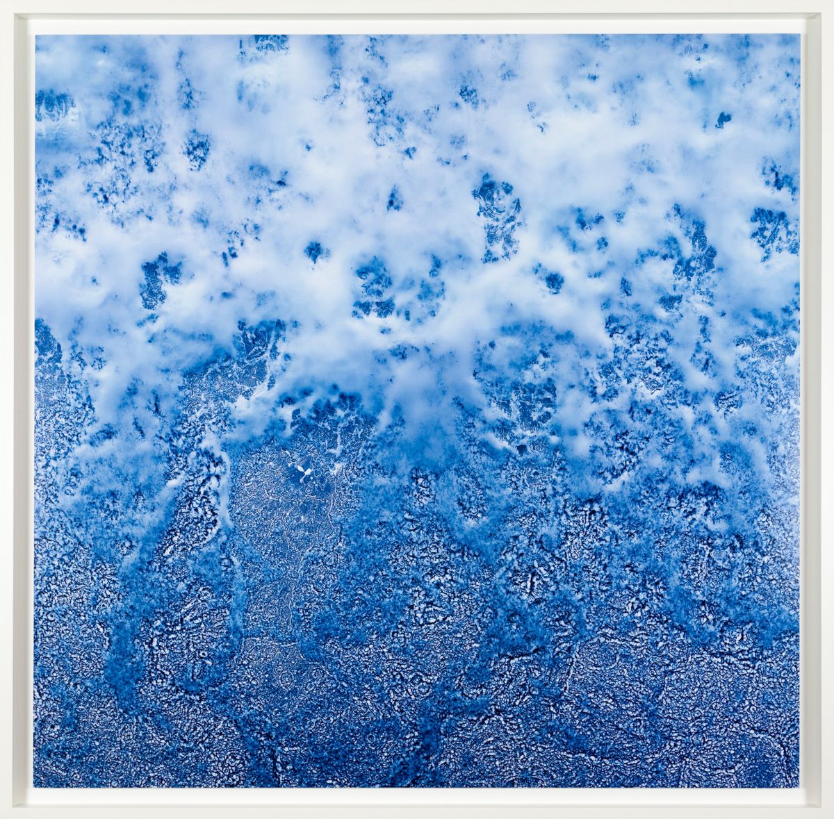 Adam Fuss Biography, Artworks & Exhibitions | Ocula Artist