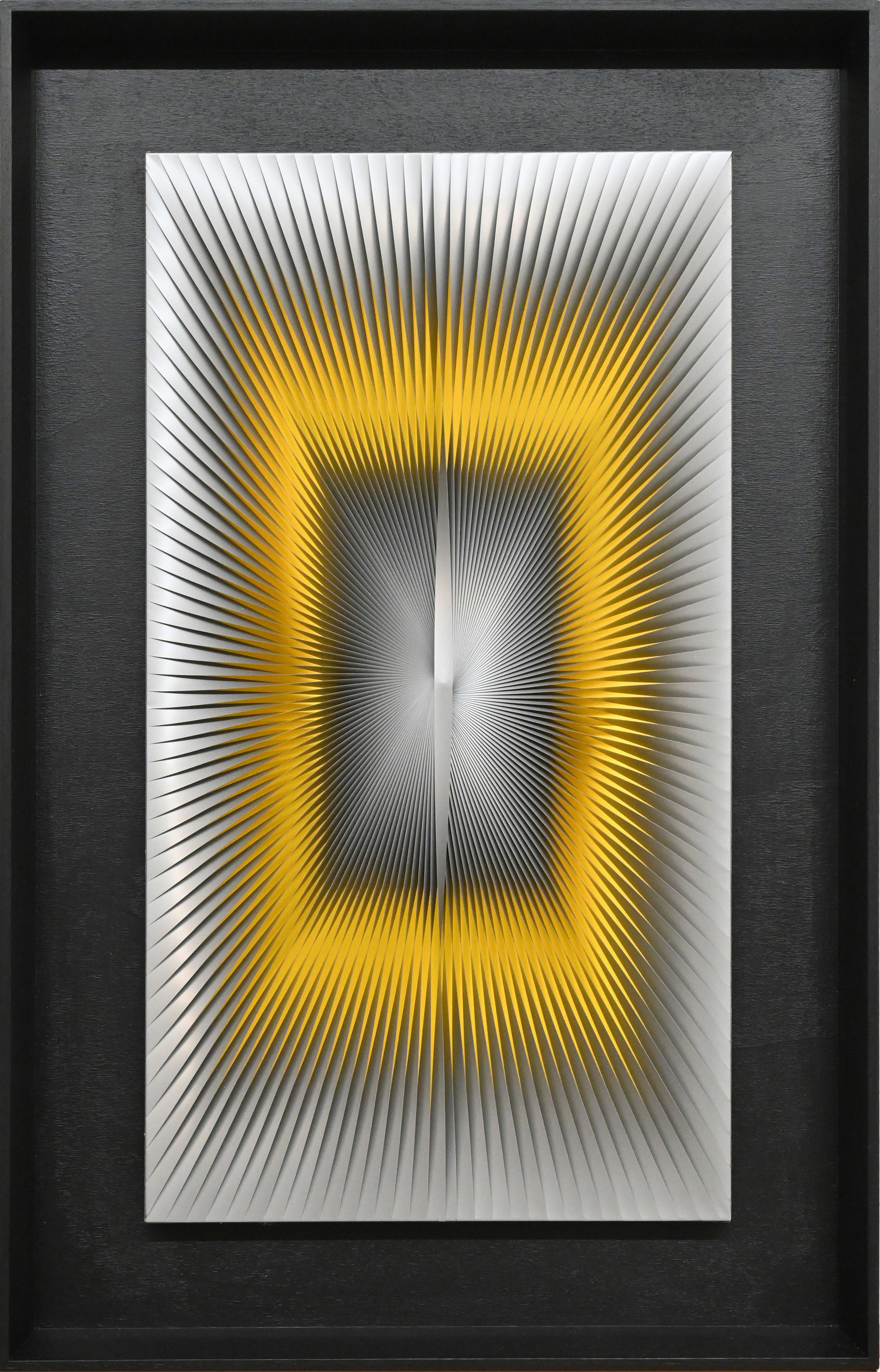 Alberto Biasi Biography, Artworks & Exhibitions | Ocula Artist